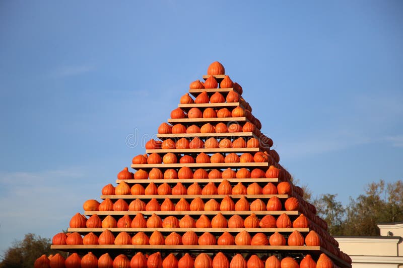 Pumpkin Pyramid, Stand with Orange Pumpkins at Farm Stock Image - Image ...