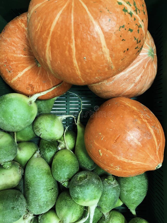 Pumpkin and Radish on the Market Macro Stock Photo - Image of orange ...