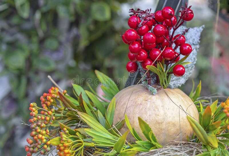 Pumpkin with Red Berries and Green Leaves on a Straw. Stock Image ...