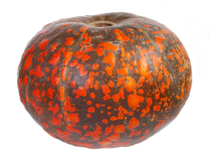 Pumpkin with Red and Orange Spots Stock Image - Image of salad, profile ...