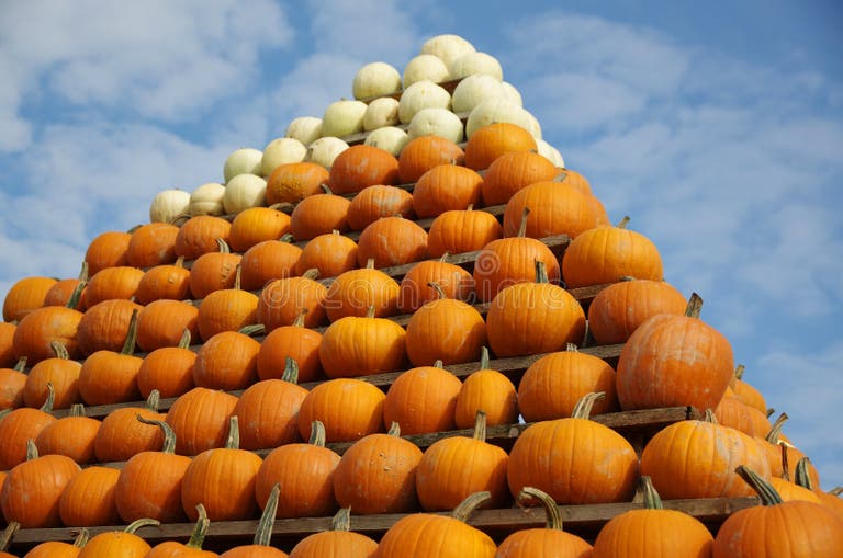 Pumpkin s Pyramid stock image. Image of harvest, orange - 60859083