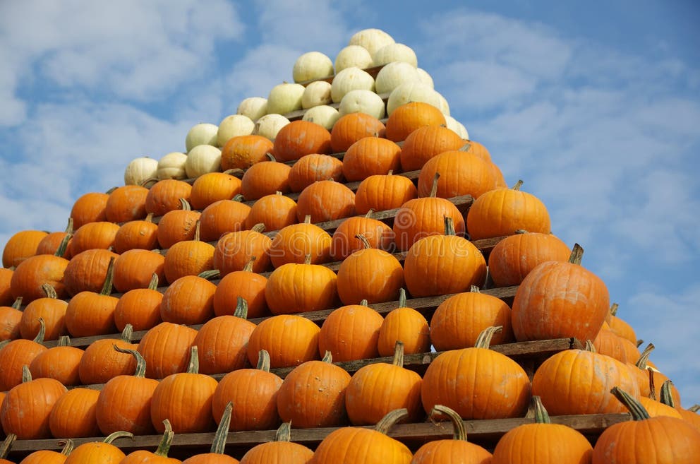 Pumpkin s Pyramid stock image. Image of harvest, orange - 60859083