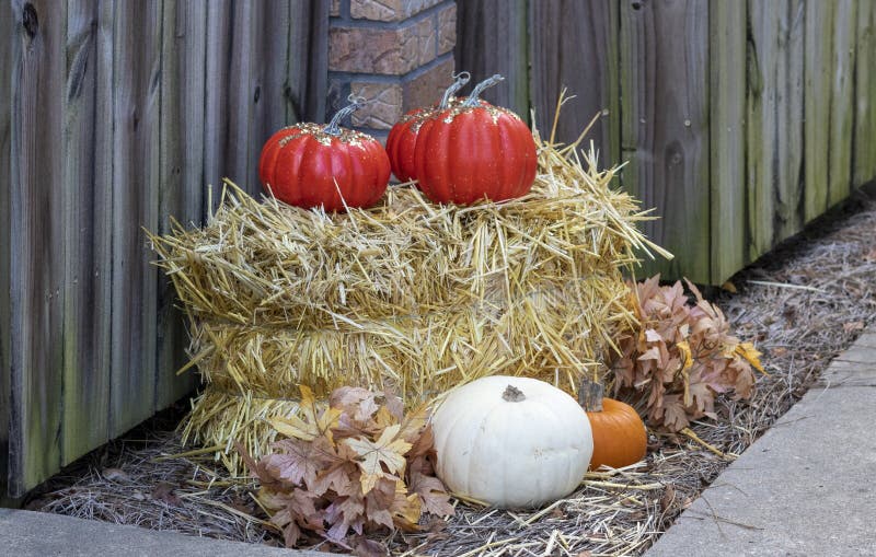 Pumpkin season is here now stock image. Image of food - 231412263