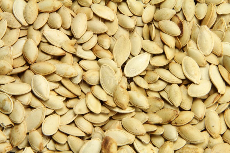 Pumpkin seed stock photo. Image of delicious, close, seed - 38926034