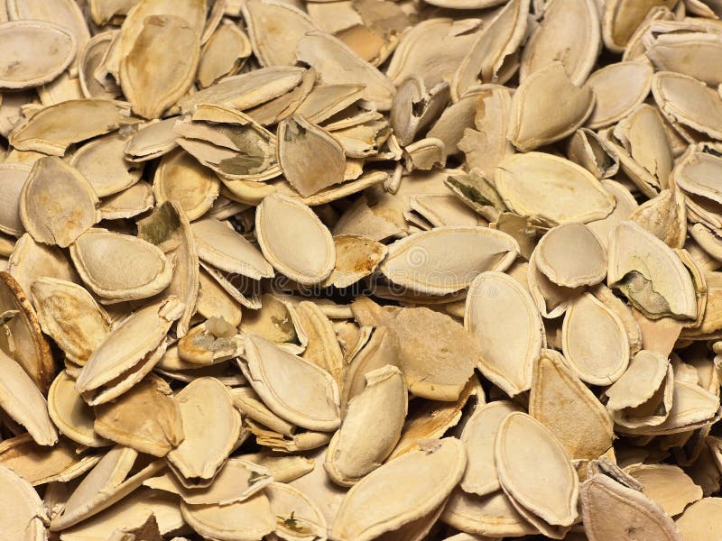Pumpkin seed shells stock photo. Image of plant, pattern - 356996438