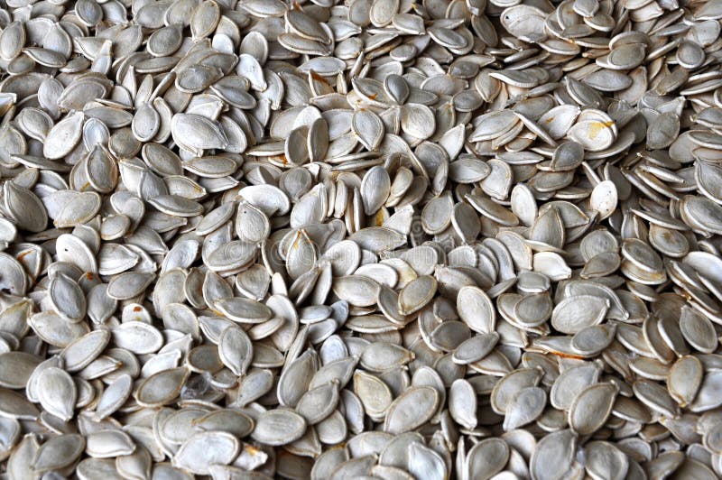 Pumpkin seeds are in bulk stock photo. Image of ingredient - 102924410