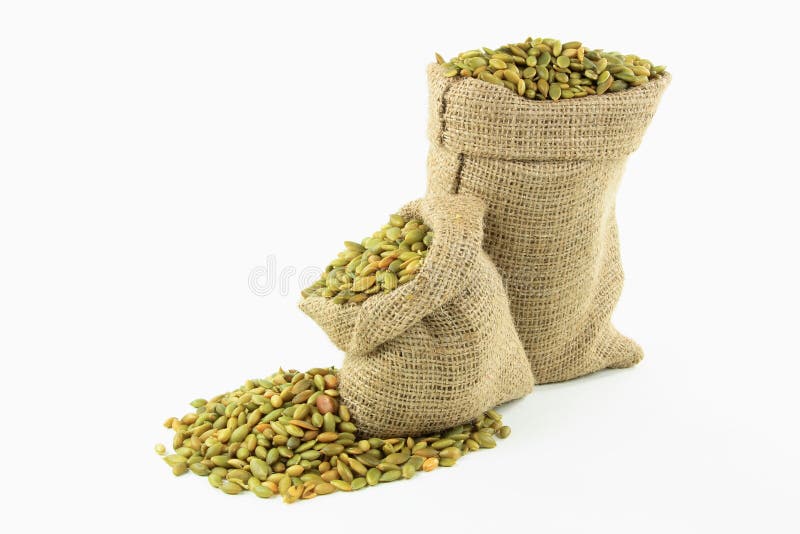 Pumpkin Seeds in Burlap Bags. Stock Photo - Image of colour, food: 15489778