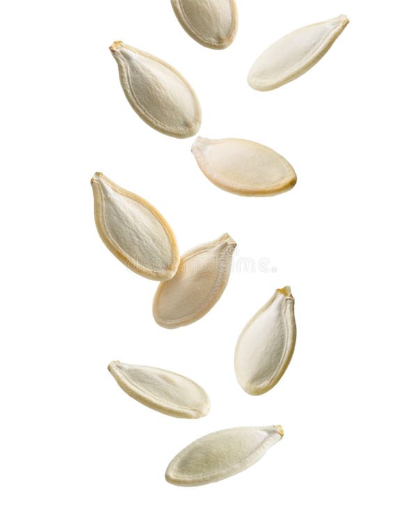 Pumpkin Seeds Falling Against a Transparent Background, Creating a ...