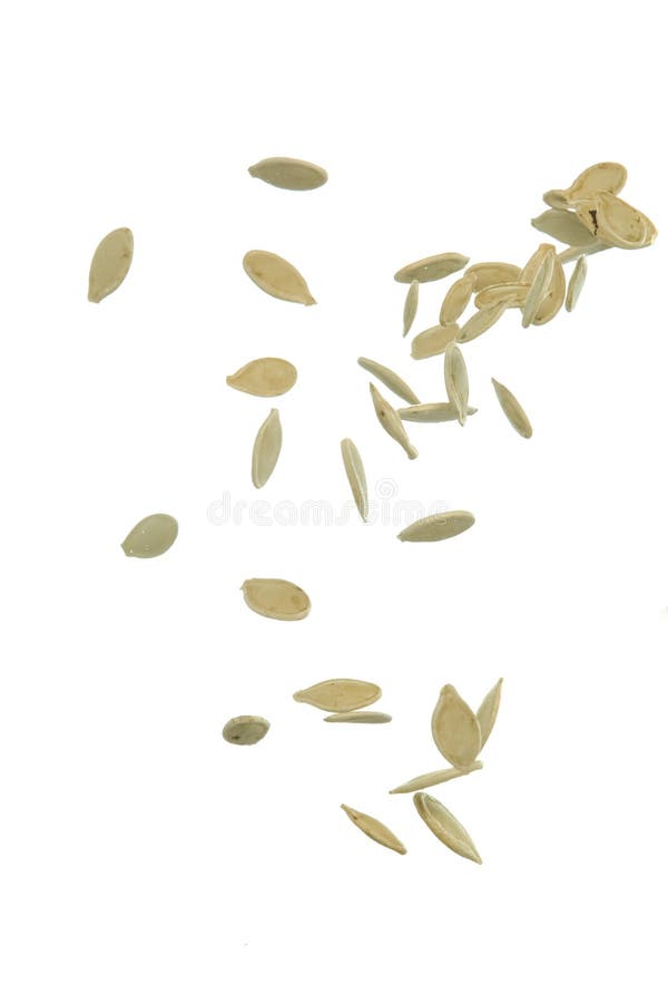 Pumpkin Seeds Falling in Free Motion Bulk. Isolated Over White ...