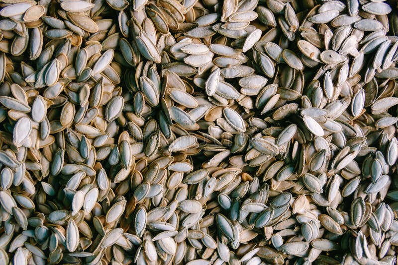 Pumpkin Seeds Texture Background Stock Image - Image of grain, seed ...