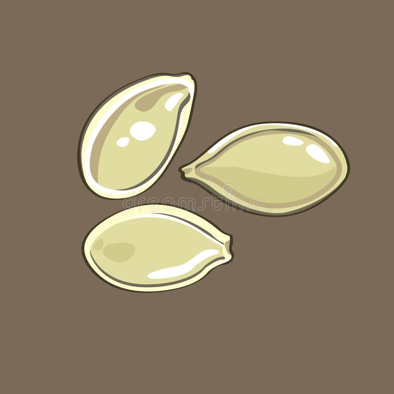 Pumpkin seeds. Vector. stock vector. Illustration of food - 101113205