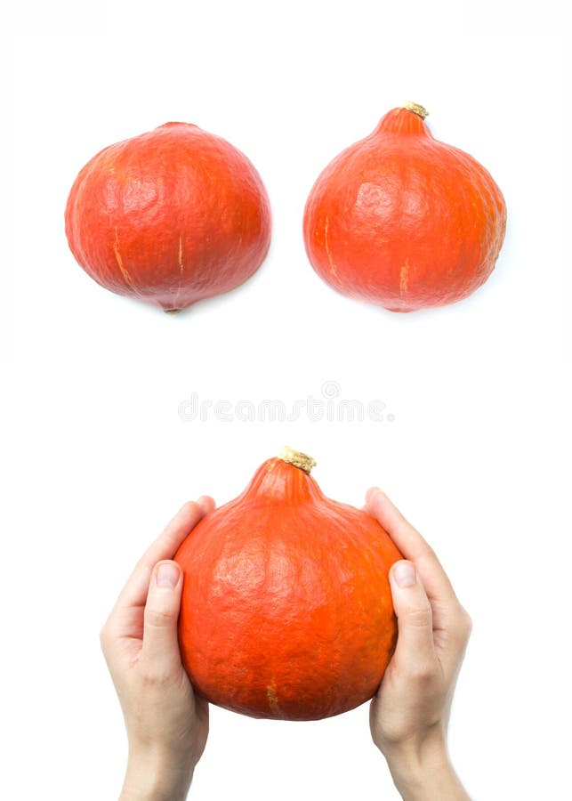 Set of Pumpkin Cut in Half. Half Pumpkin in Hands on White Background ...