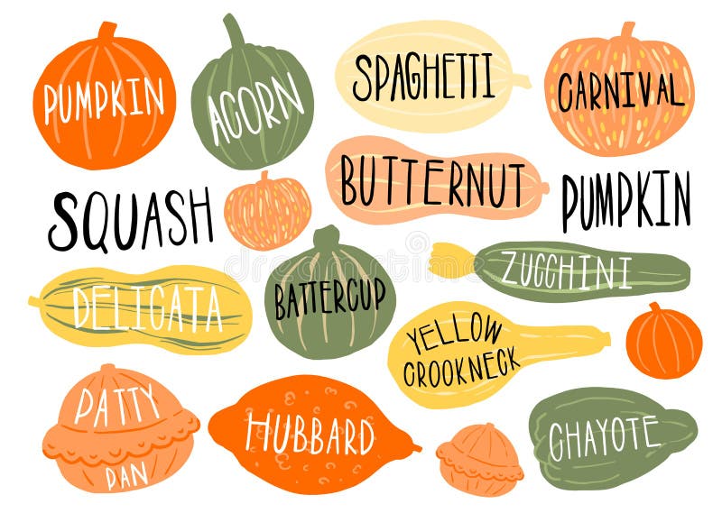 Pumpkin Set Type Name Collection.Varieties Shape and Color Stock ...