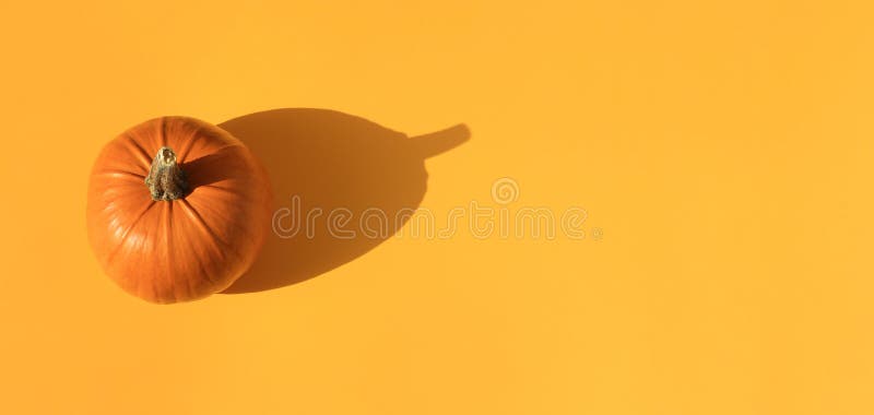 Pumpkin with Shadow on Orange Background. Stock Photo - Image of ...