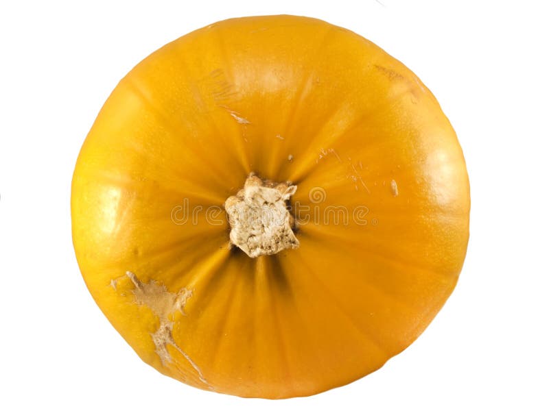 Pumpkin Side stock photo. Image of food, pumpkin, shadow - 12025076
