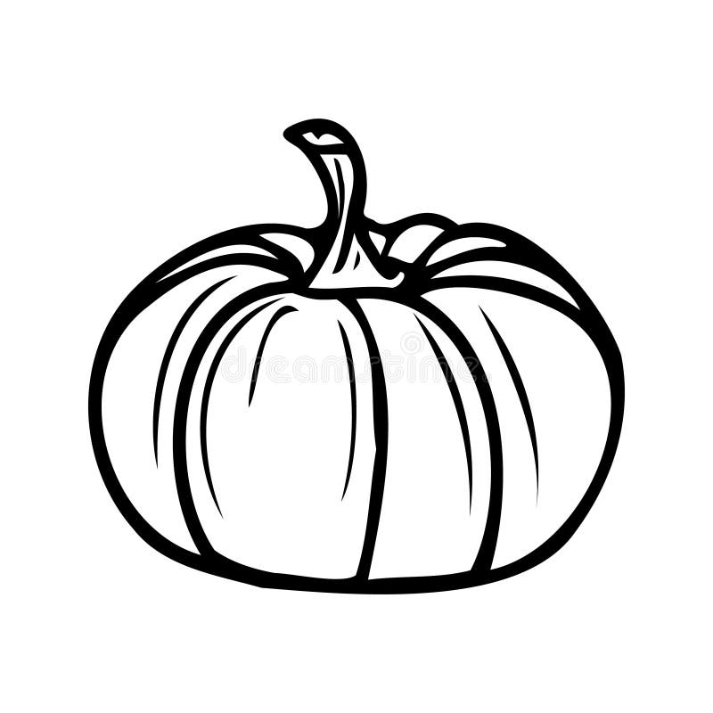 Pumpkin Simple Isolated. Pumpkin Vector Hand Drawn Illustration Stock ...