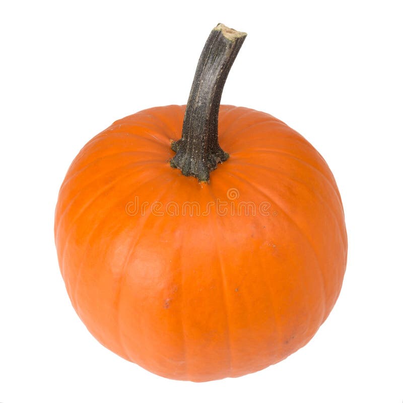 Pumpkin stock photo. Image of seasonal, holiday, decorative - 34691886