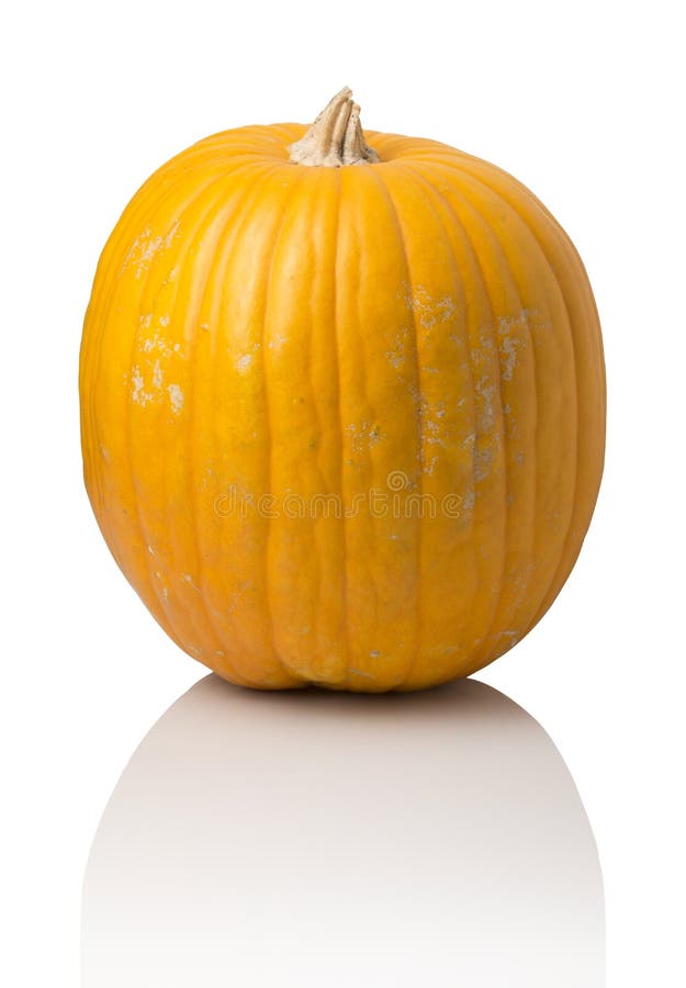 Pumpkin stock photo. Image of decoration, accent, fall - 83617194