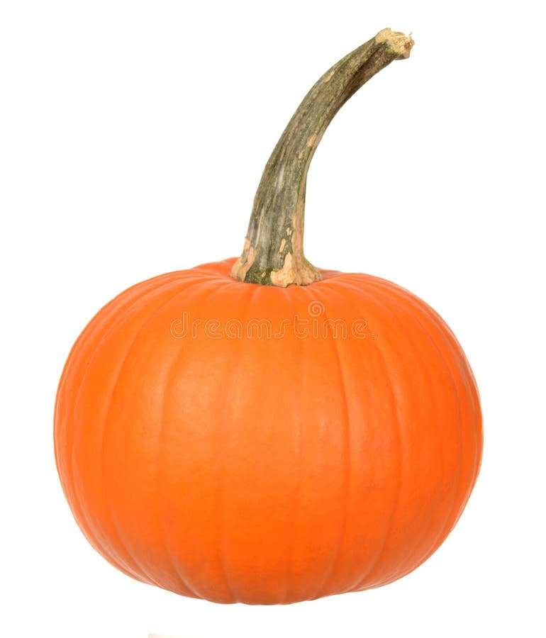 Medium Pumpkin on Hay stock image. Image of produce, bale - 794329