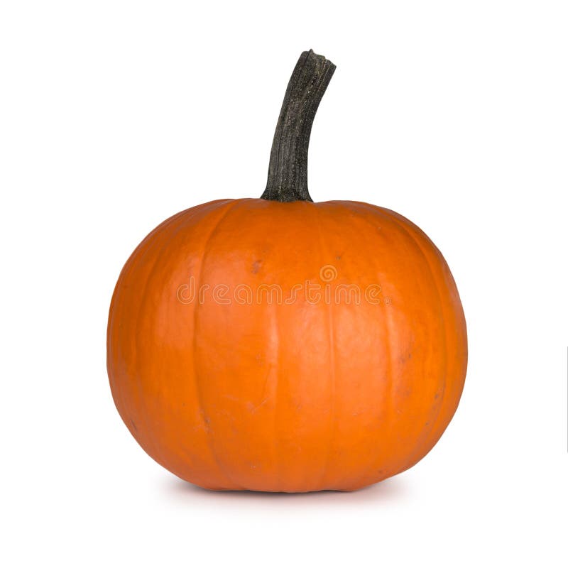 Pumpkin stock photo. Image of holiday, decoration, pumpkin - 34691842