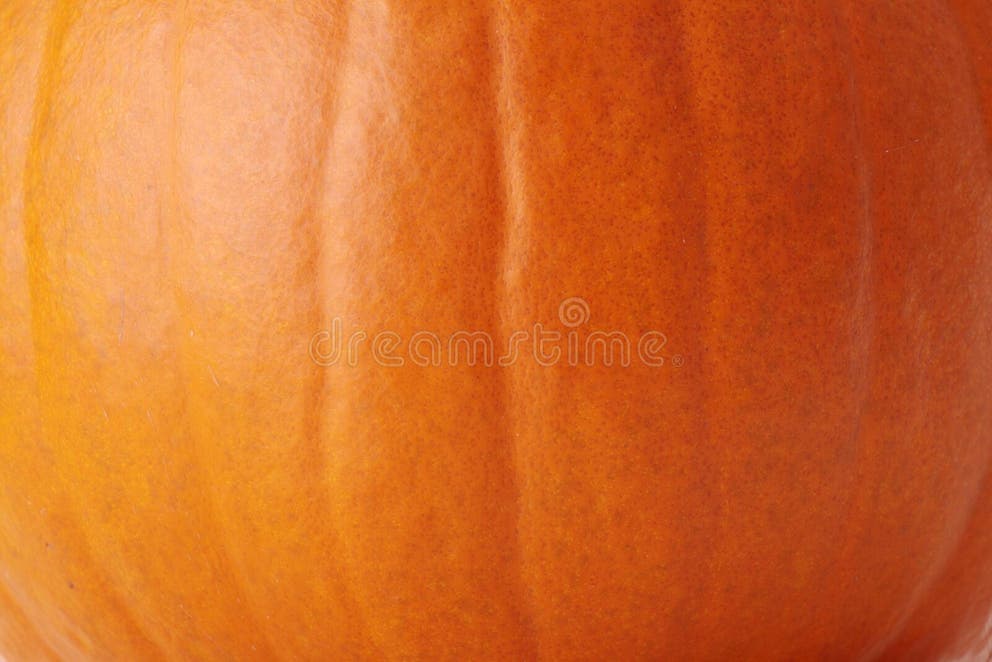 Pumpkin skin texture stock image. Image of harvest, colorful - 11458271