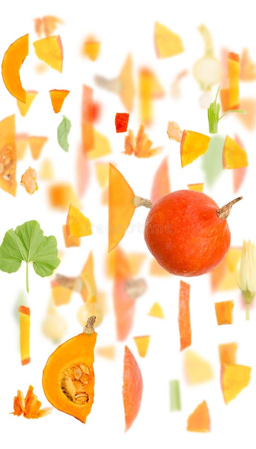 Pumpkin Slice and Leaf Collection Stock Photo - Image of collection ...