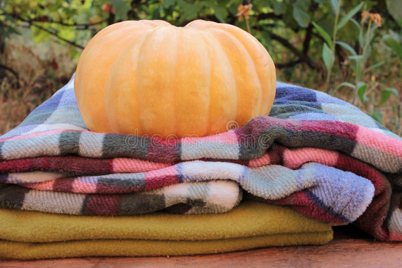 Pumpkin on a Stack of Folded Checkered Plaids in the Autumn Garden ...