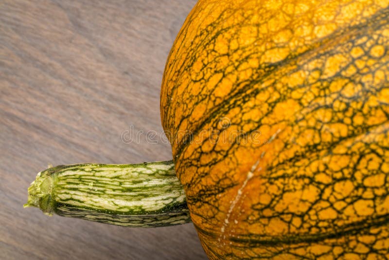 Pumpkin Abstract Background Stock Photo - Image of autumn, squash ...