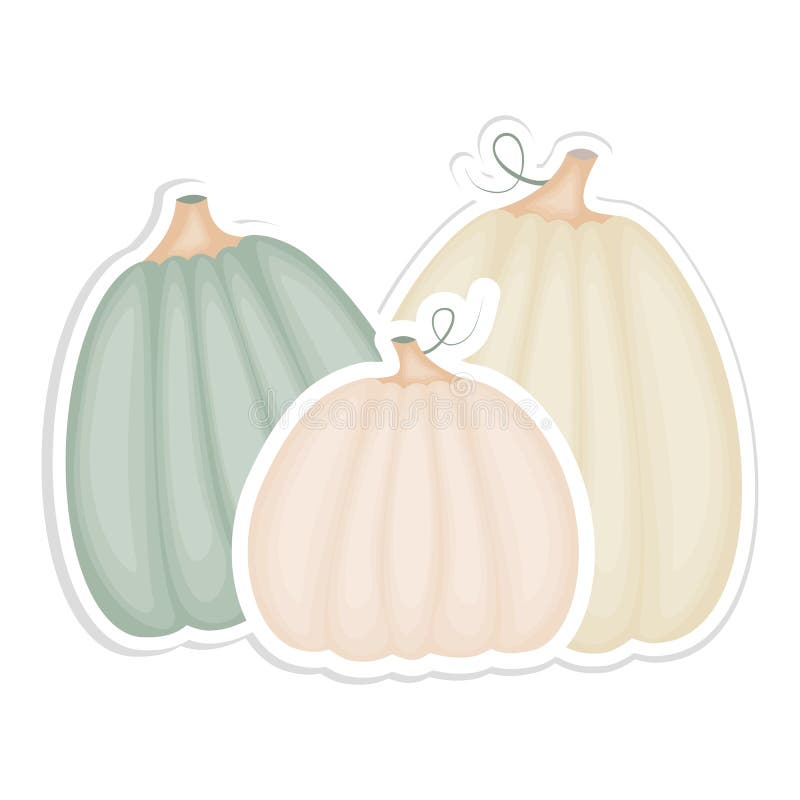 Pumpkin sticker vintage. stock vector. Illustration of pumpkins - 254767423