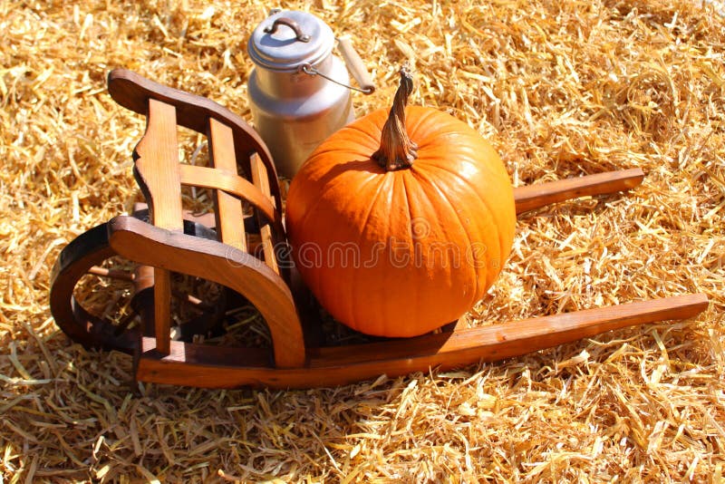 Pumpkin in the straw stock image. Image of straw, healthy - 138646923