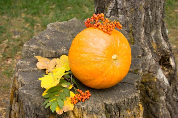 Pumpkin on a stump stock photo. Image of leaves, food - 16681534