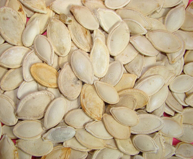Pumpkin Sunflower Seeds Cucurbita Pepo Stock Image - Image of tasty ...