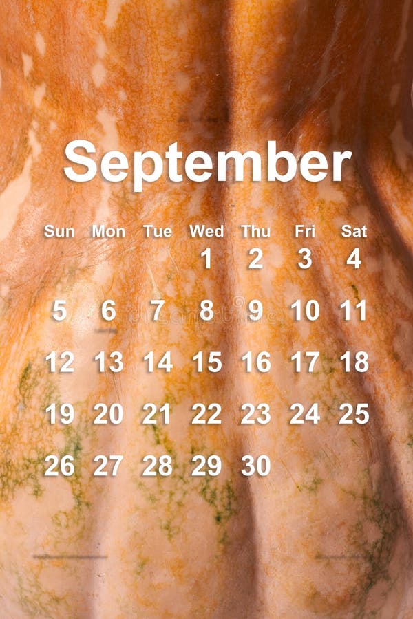 Pumpkin Surface and Monthly Calendar Stock Photo - Image of vegetable ...