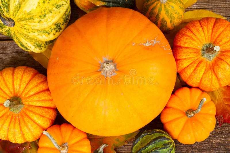 Pumpkin on table stock photo. Image of autumn, fall, decoration - 78144972