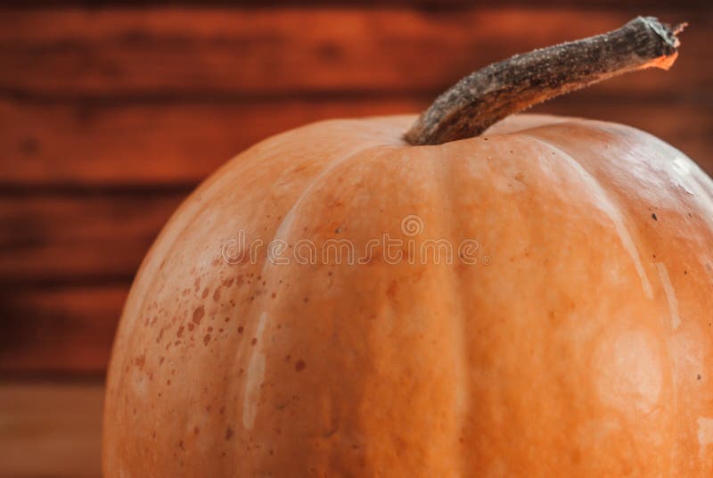 Pumpkin Texture, Vegetable Symbol of Halloween, Stock Image - Image of ...