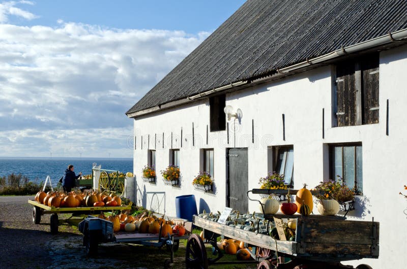 Pumpkin Trailers Stock Photos - Free & Royalty-Free Stock Photos from ...