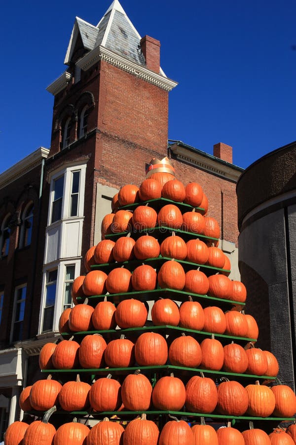 Pumpkin Tree stock photo. Image of smiling, pumpkin, decoration - 3464472