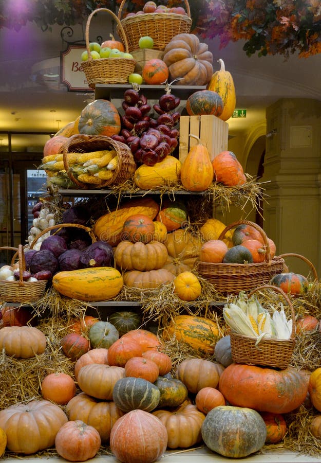 Pumpkin Tree stock image. Image of decorative, background - 128225455