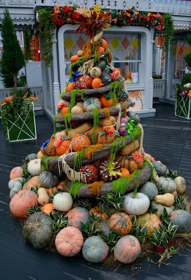 Pumpkin Tree stock image. Image of fresh, harvested - 128204091