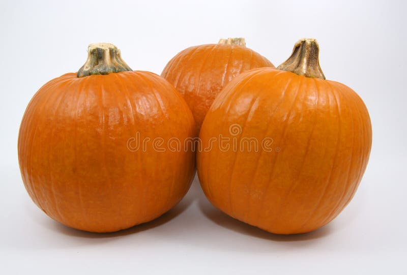 Pumpkin Trio stock photo. Image of cornucopia, patch, carve - 1300146