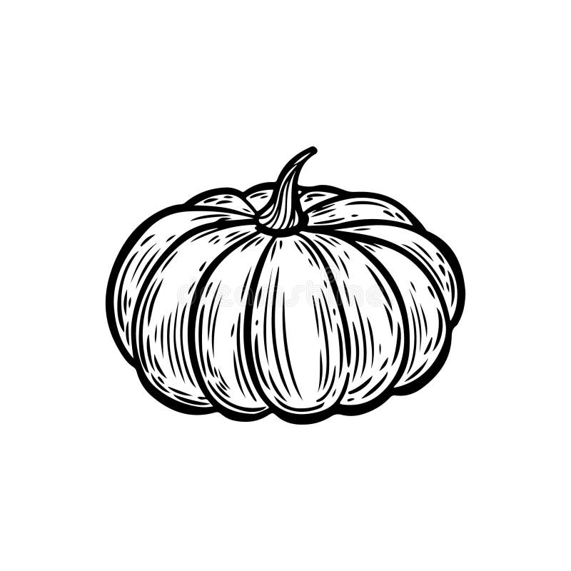 Pumpkin Line Drawing Stock Illustrations – 14,184 Pumpkin Line Drawing ...