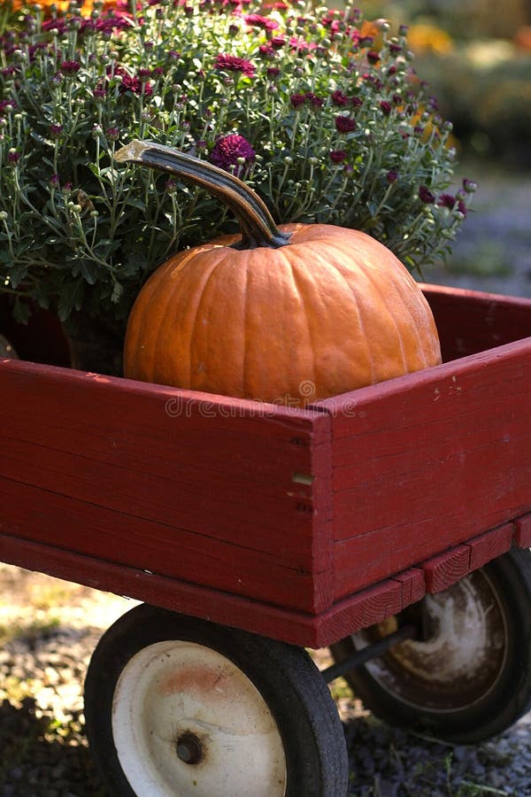 Pumpkin Wagon stock image. Image of autumn, october, flower - 2456385