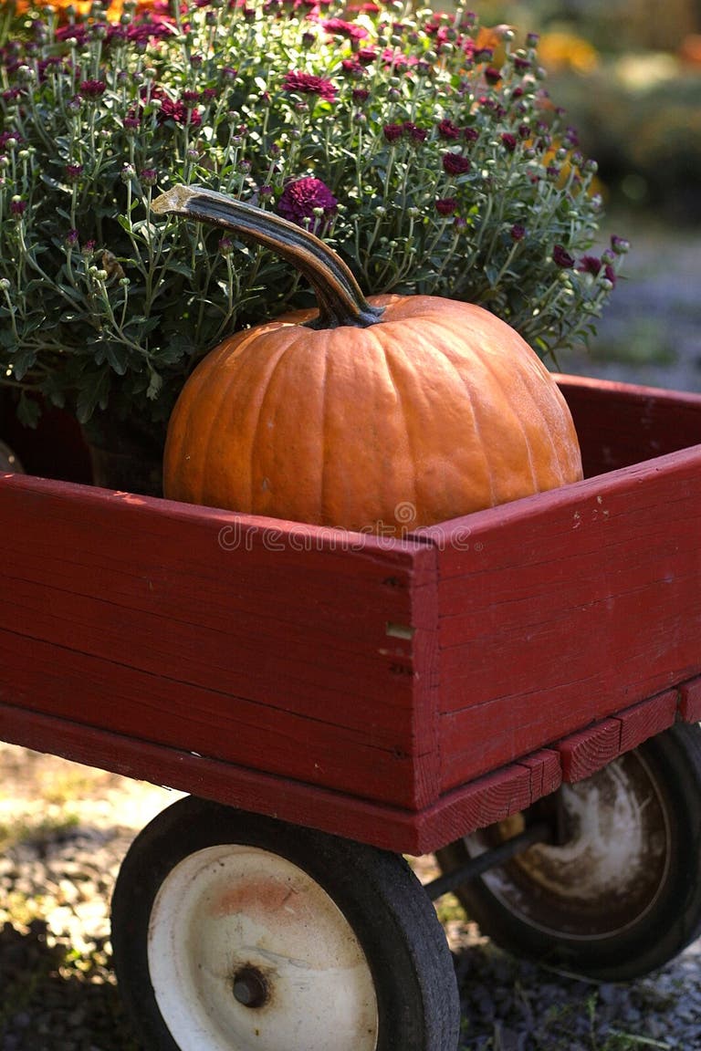 822 Vegetables Wagon Stock Photos - Free & Royalty-Free Stock Photos ...