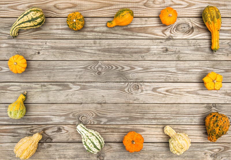 Pumpkin Wooden Texture Autumn Background Thanksgiving Stock Image ...