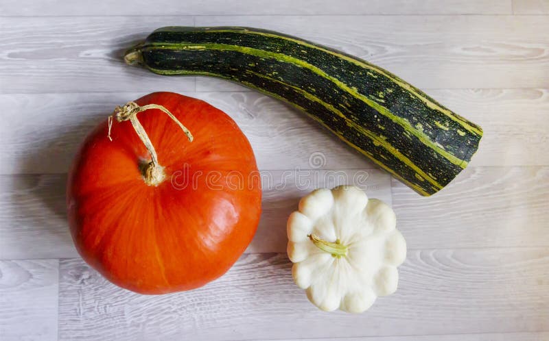 Pumpkin, Zucchini, Squash on the Table. Autumn Vegetables on a Gray ...