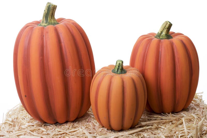 Pumpkins stock image. Image of food, three, thanksgiving - 1317499