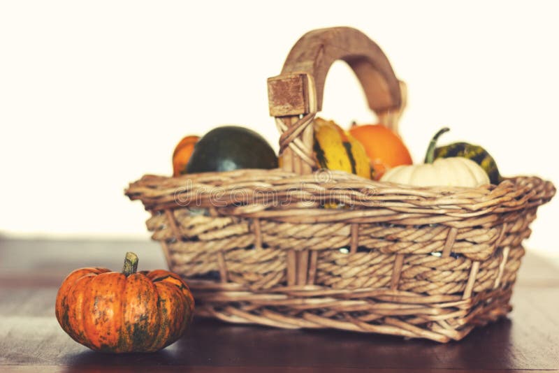 Pumpkins in the basket stock photo. Image of eating, cucurbita - 15879002