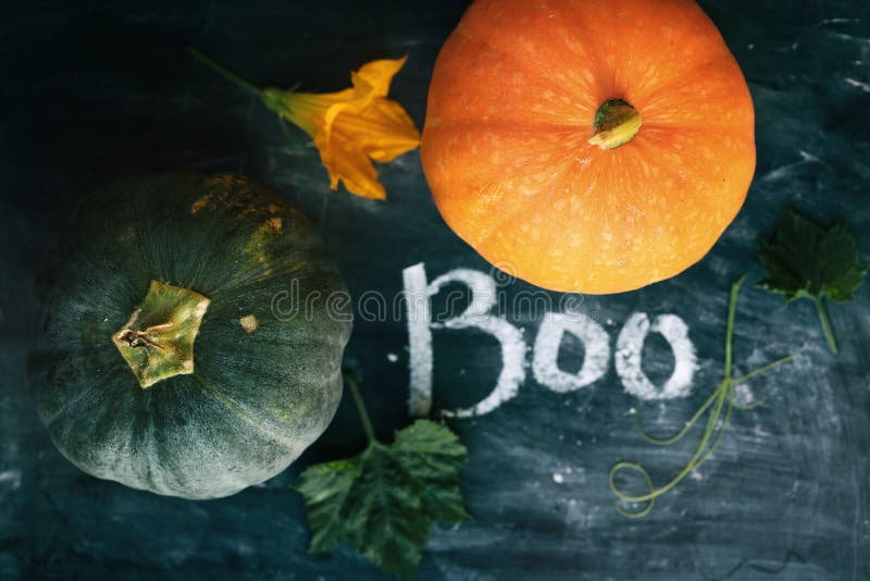 Pumpkins with Boo sign stock photo. Image of holiday - 66329048