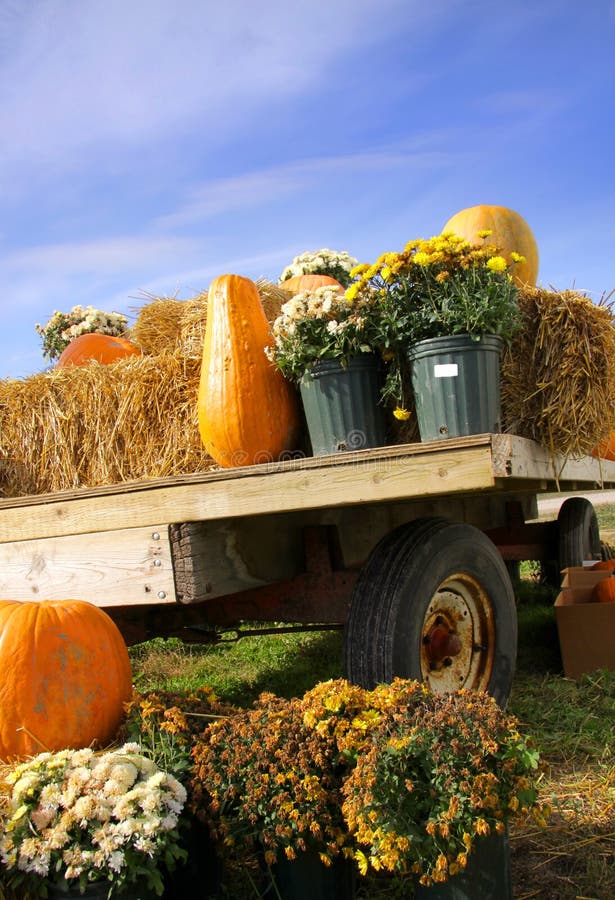 Cart Overflowing with Pumpkins Ready for Carving Stock Photo - Image of ...