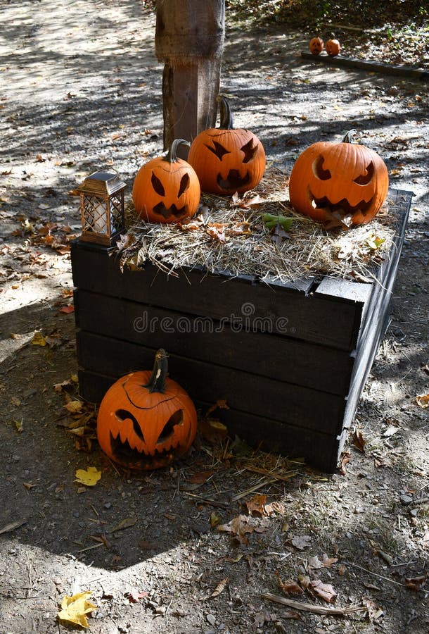 Pumpkins on a Crate II stock image. Image of wood, food - 342552235